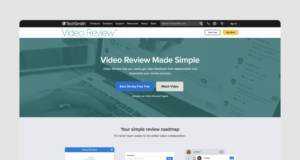 Video review process, best practices & 5 tools to use in 2024 - Markup.io